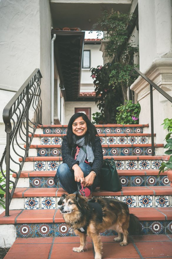 Dog Friendly Carmel: How to enjoy Carmel with a dog