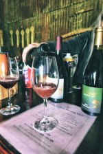 Day trips from Sacramento: 15 fun Northern California trips