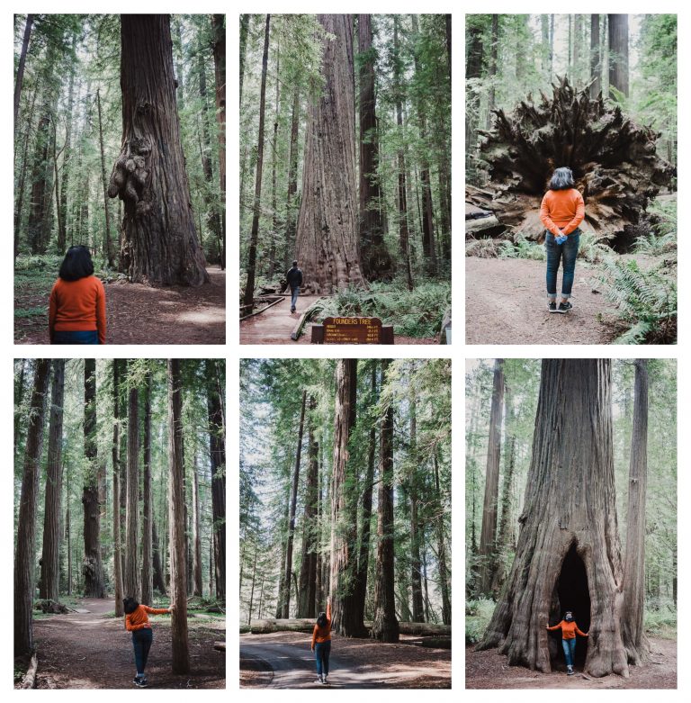 40 AMAZING things to do in Humboldt County, California